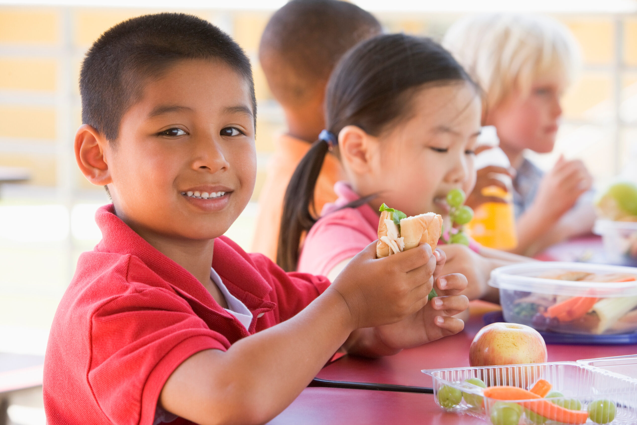 Childhood Nutrition - Operation Food Search
